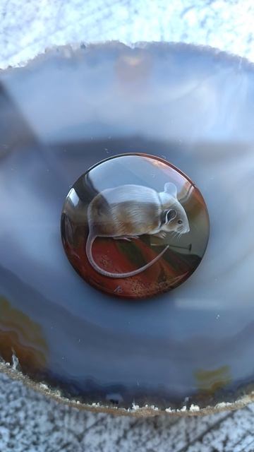 VID_20240313_145307.mp4