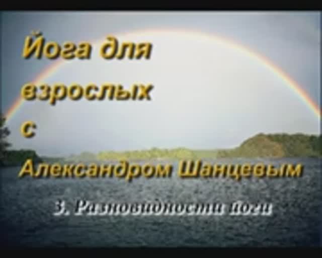Виды йоги. Йога для взрослых. Серия фильмов о йоге. Часть 3. А. Шанцев. Йог, йогатерапевт