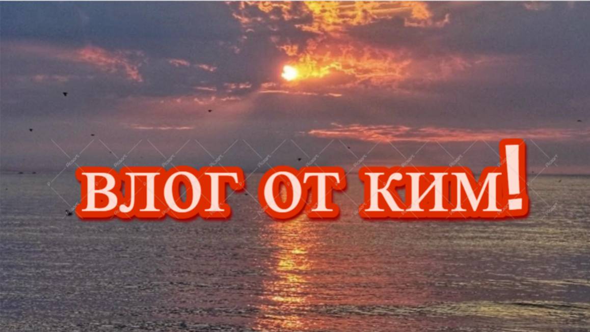влог от ким!