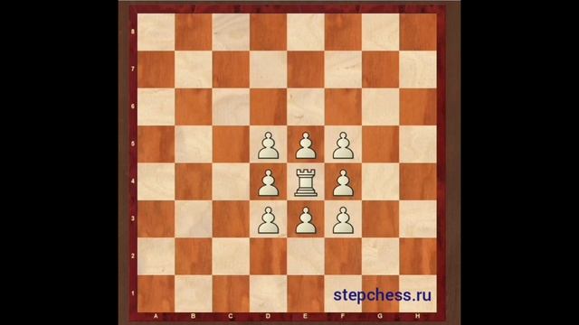 Шахматы для начинающих. Конь