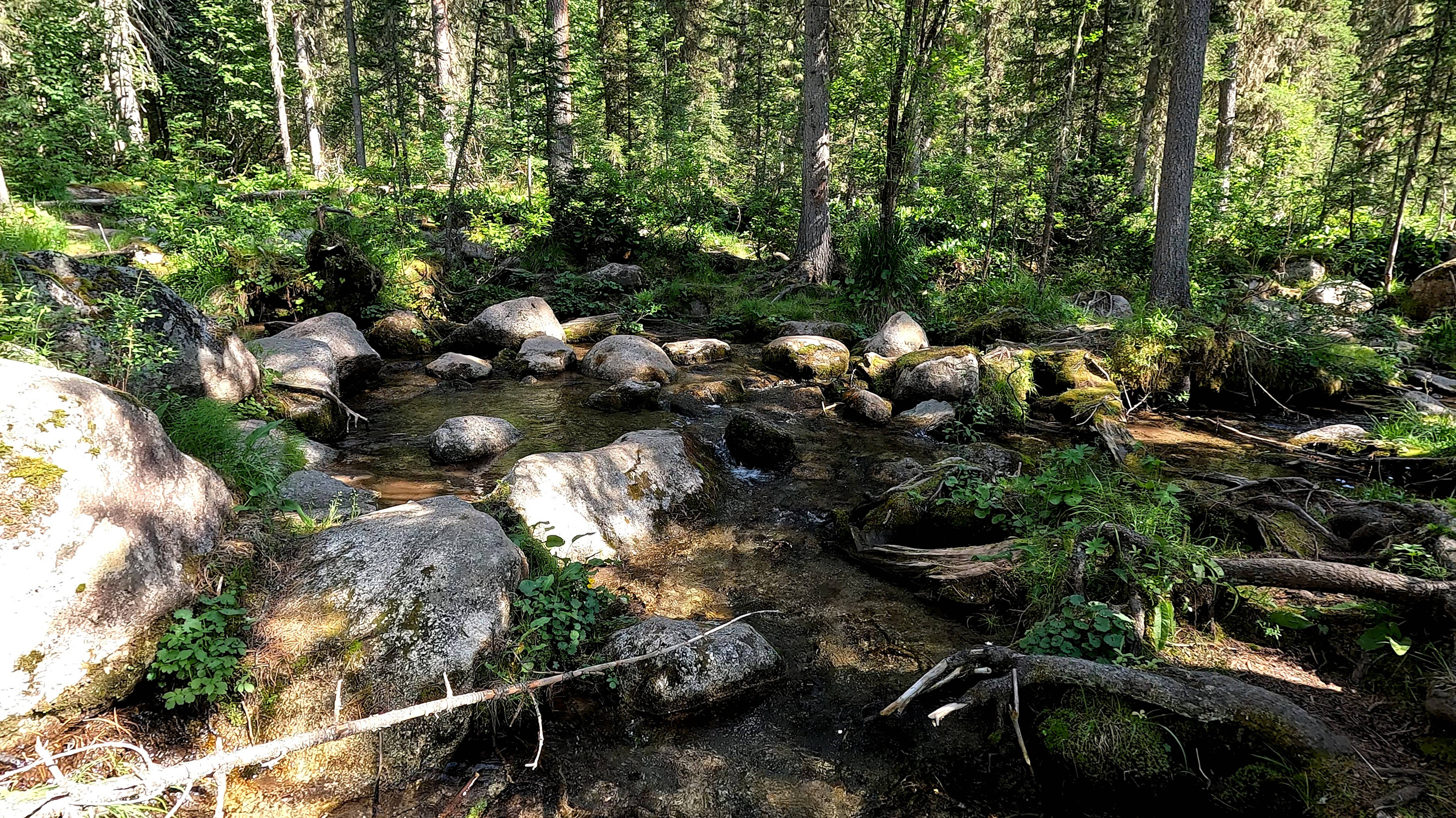 Ергаки. Горная тайга. Ручей Тушканчик. 1 часть ("родной "звук)
Съемка GOPRO HERO 12 Black