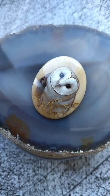 VID_20240313_145403.mp4