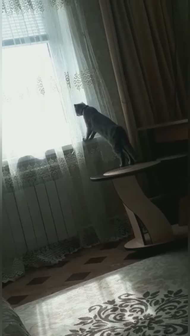 Наблюдатель, "Ох уж эти садоводы, скосили всю траву.."