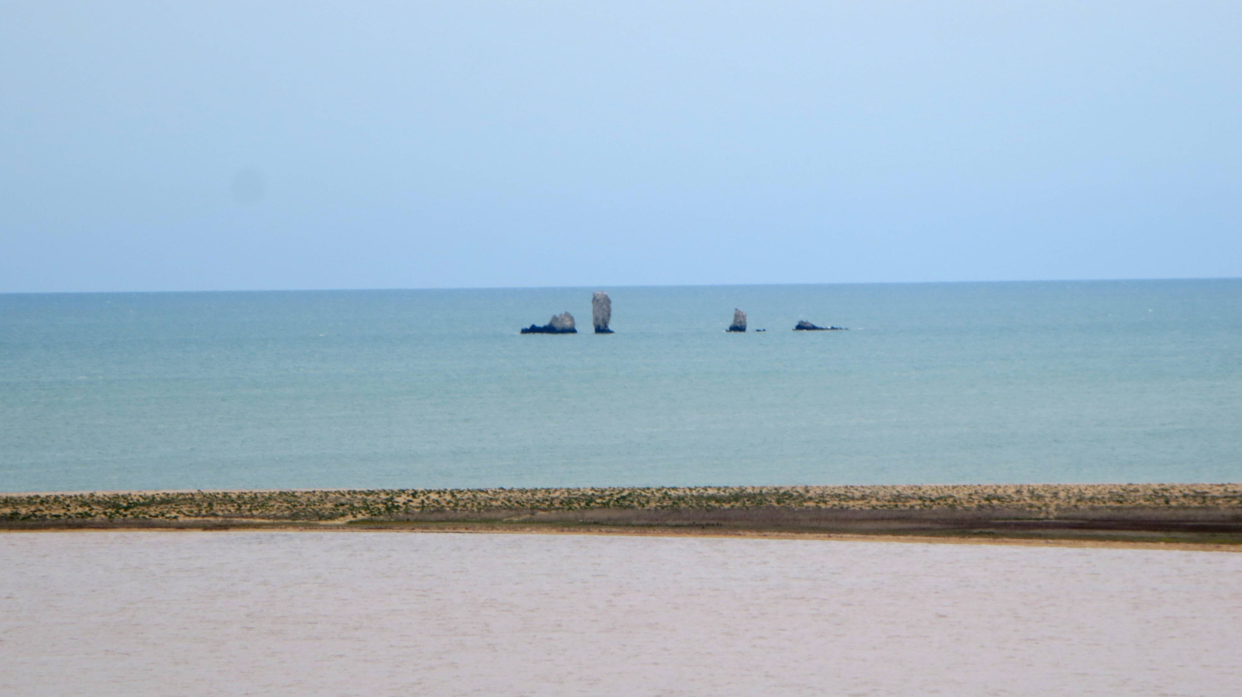 Цветущий Крым. Ч.1. Розовое озеро. Опукский заповедник. Дикие тюльпаны. Весеннее путешествие.