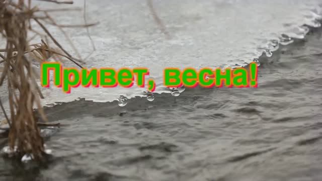 🥀Привет, весна 🌺🌼🌺привет любовь! ❤️  Исполнение -  Группа  Король Лир