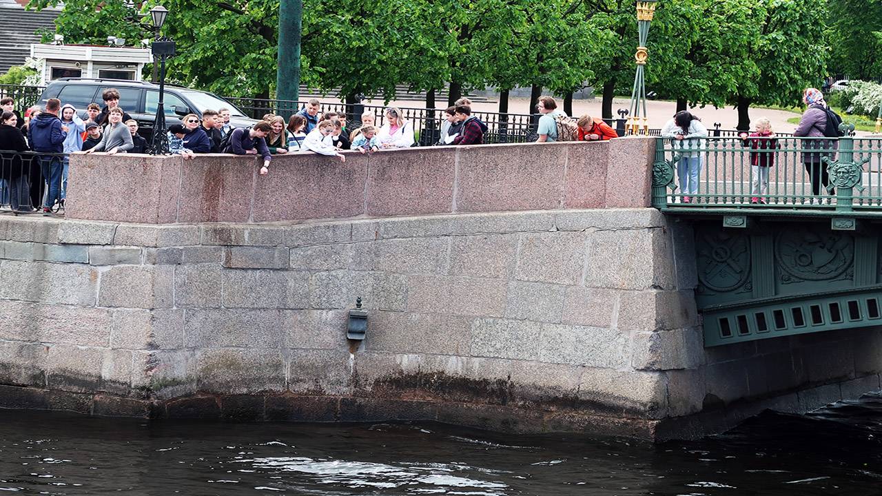 Прогулка от Спаса на Крови через Михайловский сад к Чижику пыжику  Что посмотреть в Питере за 5 дней
