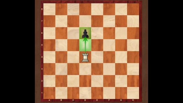 Шахматы для начинающих. Ладья