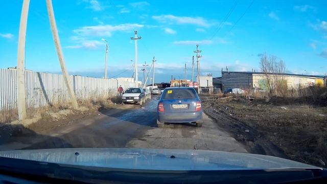 Наглые утки - пешеходы