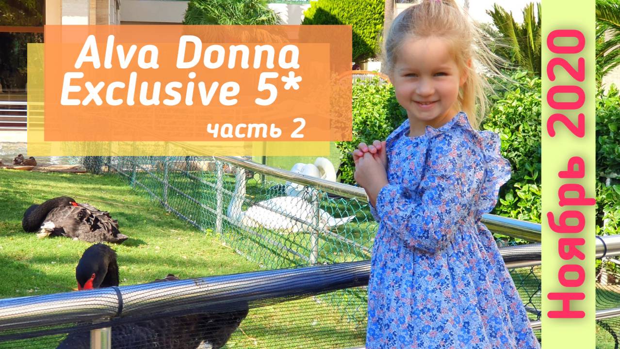 #2 Ужин и пляж в Alva Donna Exclusive Belek 5* (сейчас DOBEDAN ) Не мест! Футбол. Ноябрь в Турции