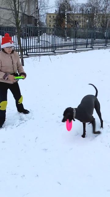 Метис Нэтта - совместные движения, флип