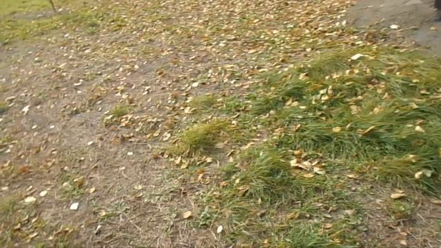 Полоса препятствий 2023 год