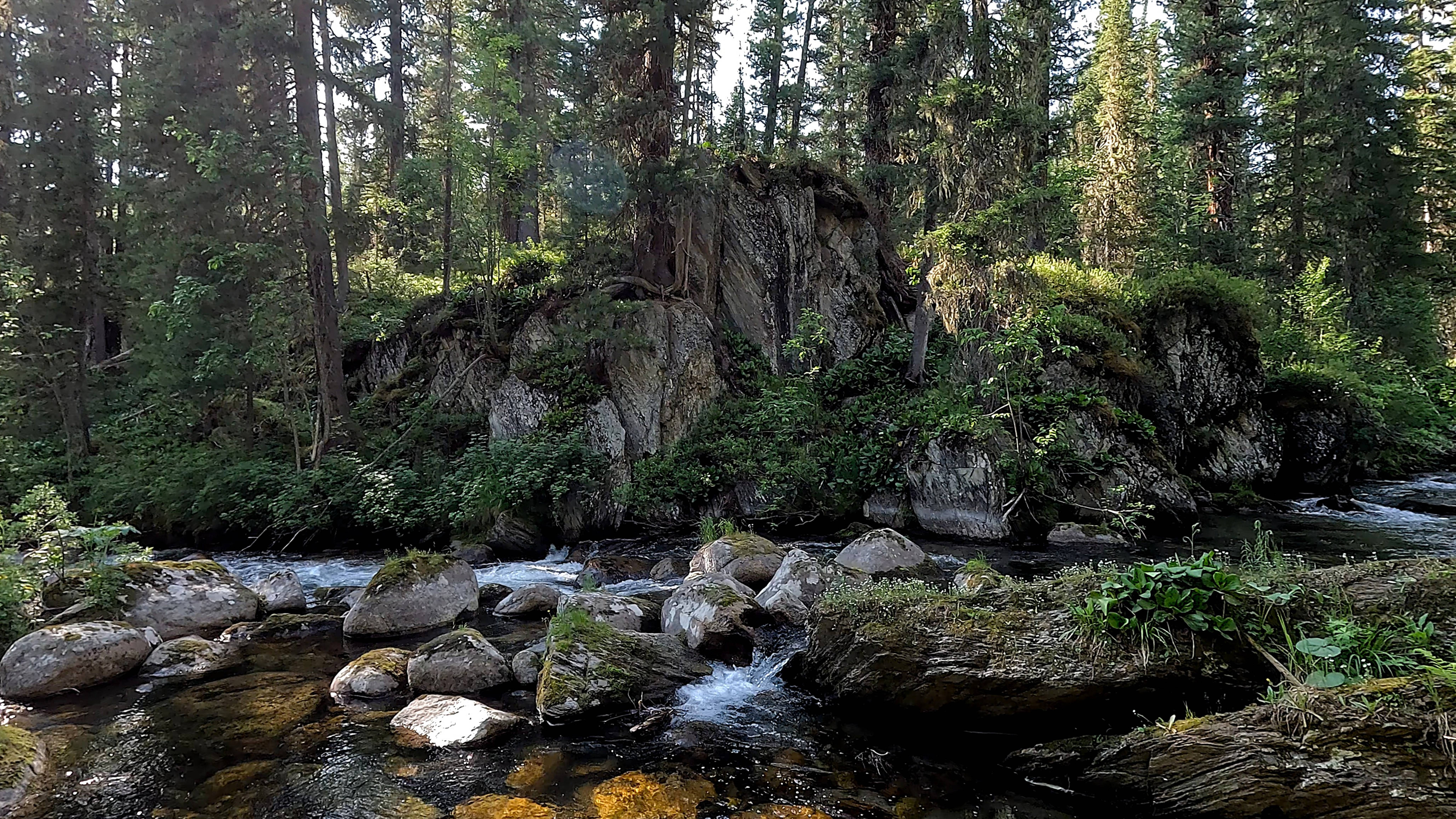 Ергаки. Горная тайга. Ручей Тушканчик. 2 часть ("родной "звук)
Съемка GOPRO HERO 12 Black