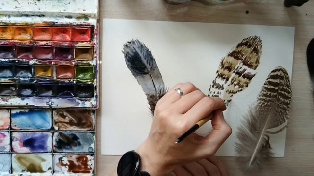Этюд перьев птиц Урок 2