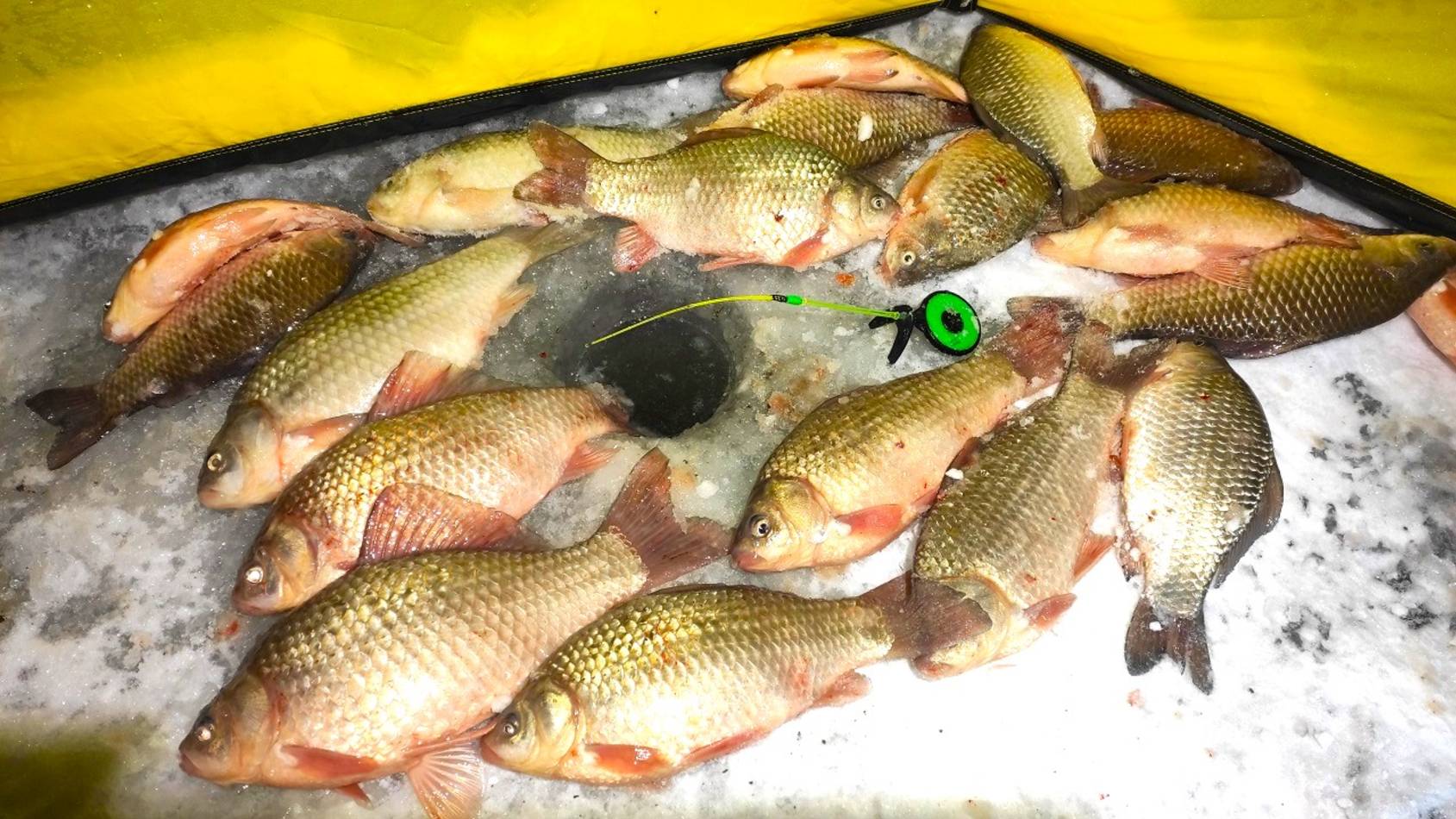 ОГРОМНЫЕ КАРАСИ МОНСТРЫ!! ОНИ КАК ЛОПАТЫ!! ЗИМНЯЯ РЫБАЛКА НА КАРАСЯ