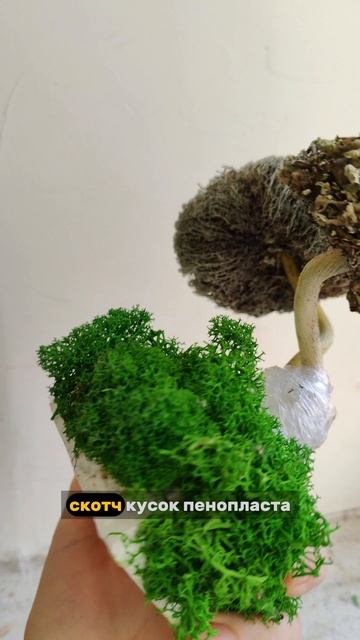 Возврат с Wildberries
Просто обидно!