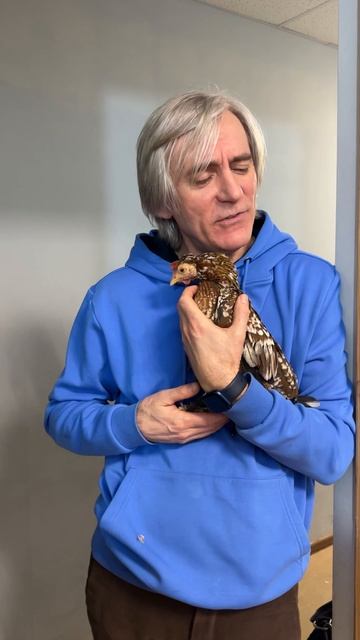 Встреча с курицей Моникой