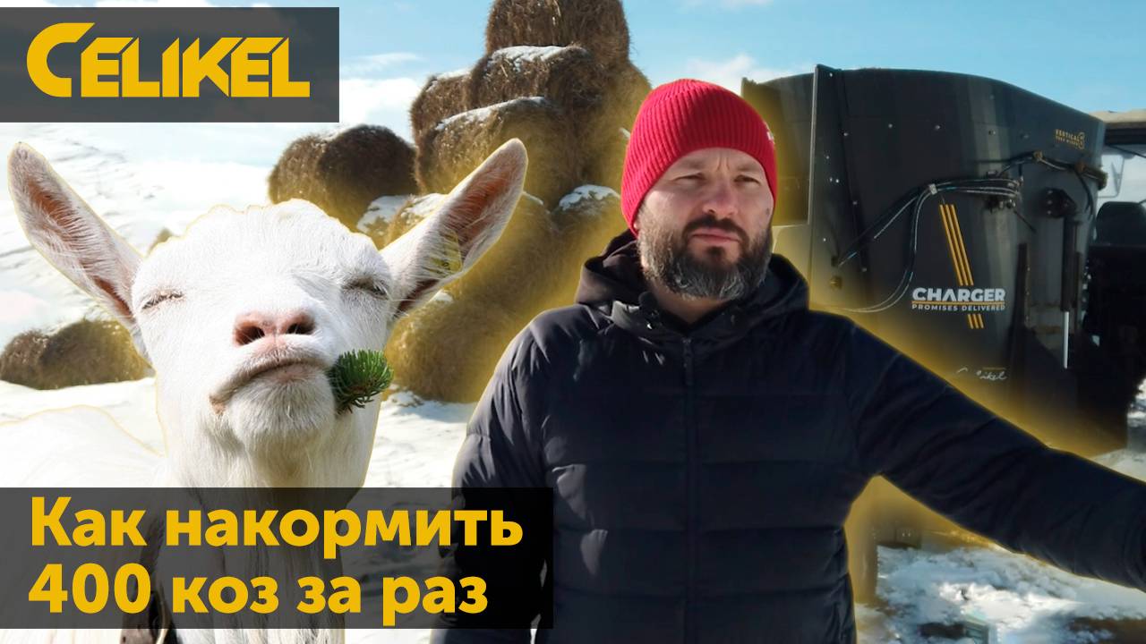 Как мы кормим 400 коз за раз: механизация кормления с Celikel CHARGER V6