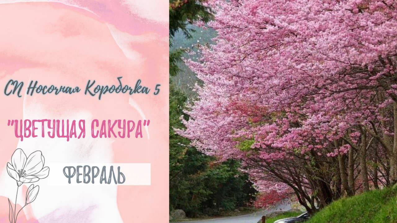 🌸🧦🌸"Цветущая Сакура" 🌸🧦🌸моя вторая пара в "Носочную Коробочку 5" #носочная_коробочка_5_февраль