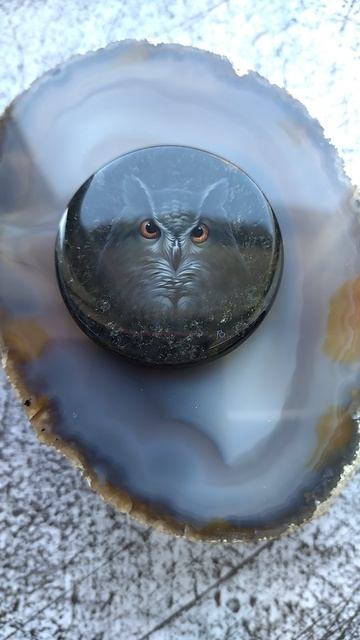 VID_20240313_145451.mp4