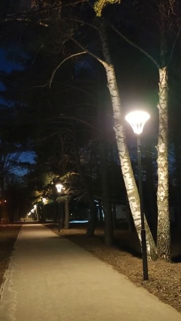 Пущинские пейзажи #piano #пущино #россия #красотароссии #russia