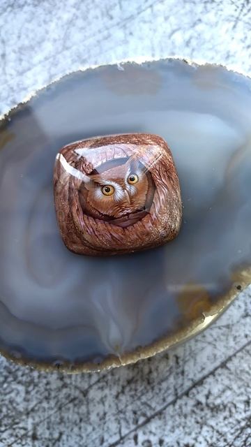 VID_20240313_145523.mp4