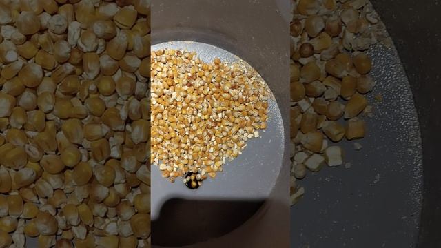 Зернодробилка "Кабанчик".