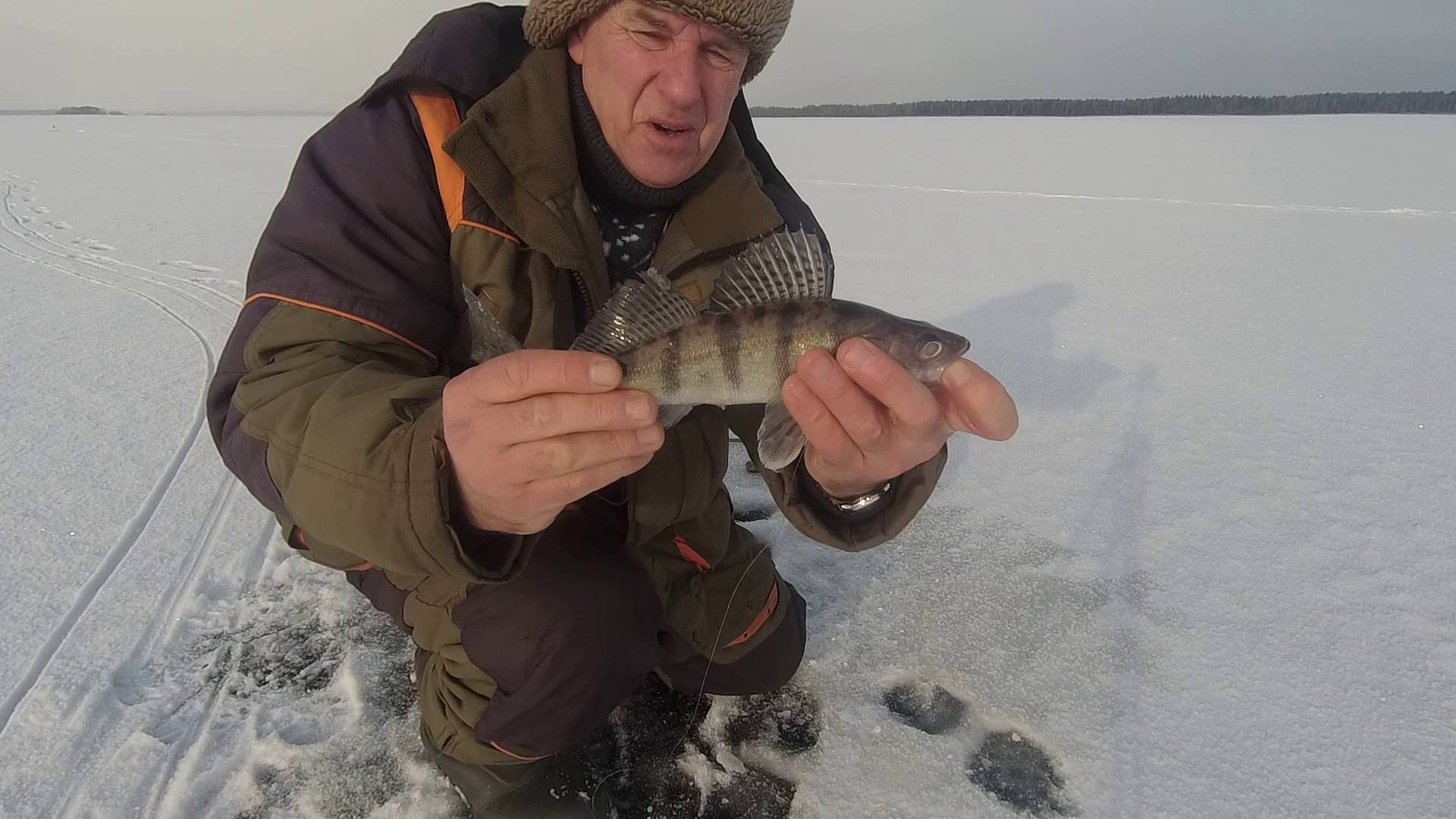 Ждали судака а пришли они