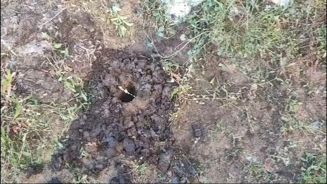 Заказ-Дом: делаем пробное бурение перед монтажом свайно-винтового фундамента для домов на заказ