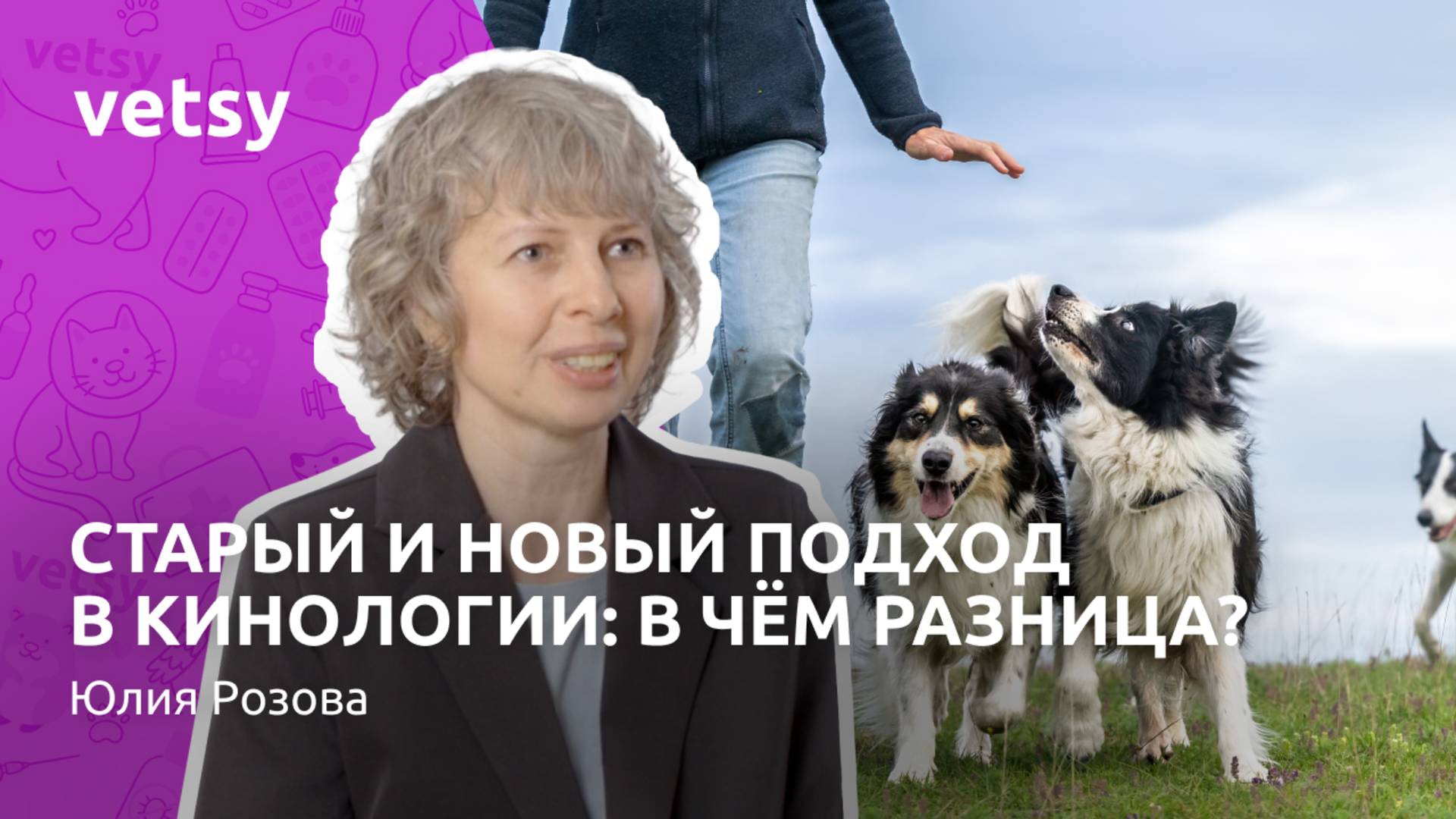 Юлия Розова: старая советская кинология и современный гуманный подход — в чём разница?