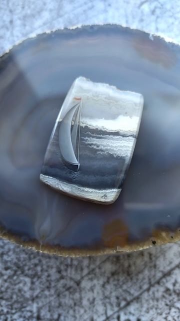 VID_20240313_145322.mp4