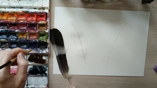 Этюд перьев птиц Урок 1