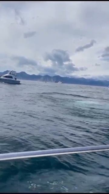 Экскурсия к китам на Камчатке 🔥