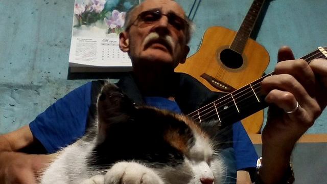 Чубчик кучерявы́й.