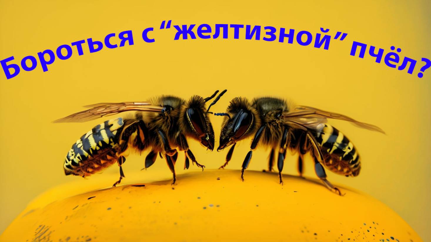 Профессор Кашковский: Надо ли бороться с «желтизной» пчел?