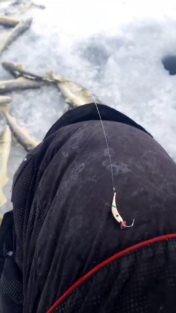 Сергею , спасибо за отчёт 😎👍