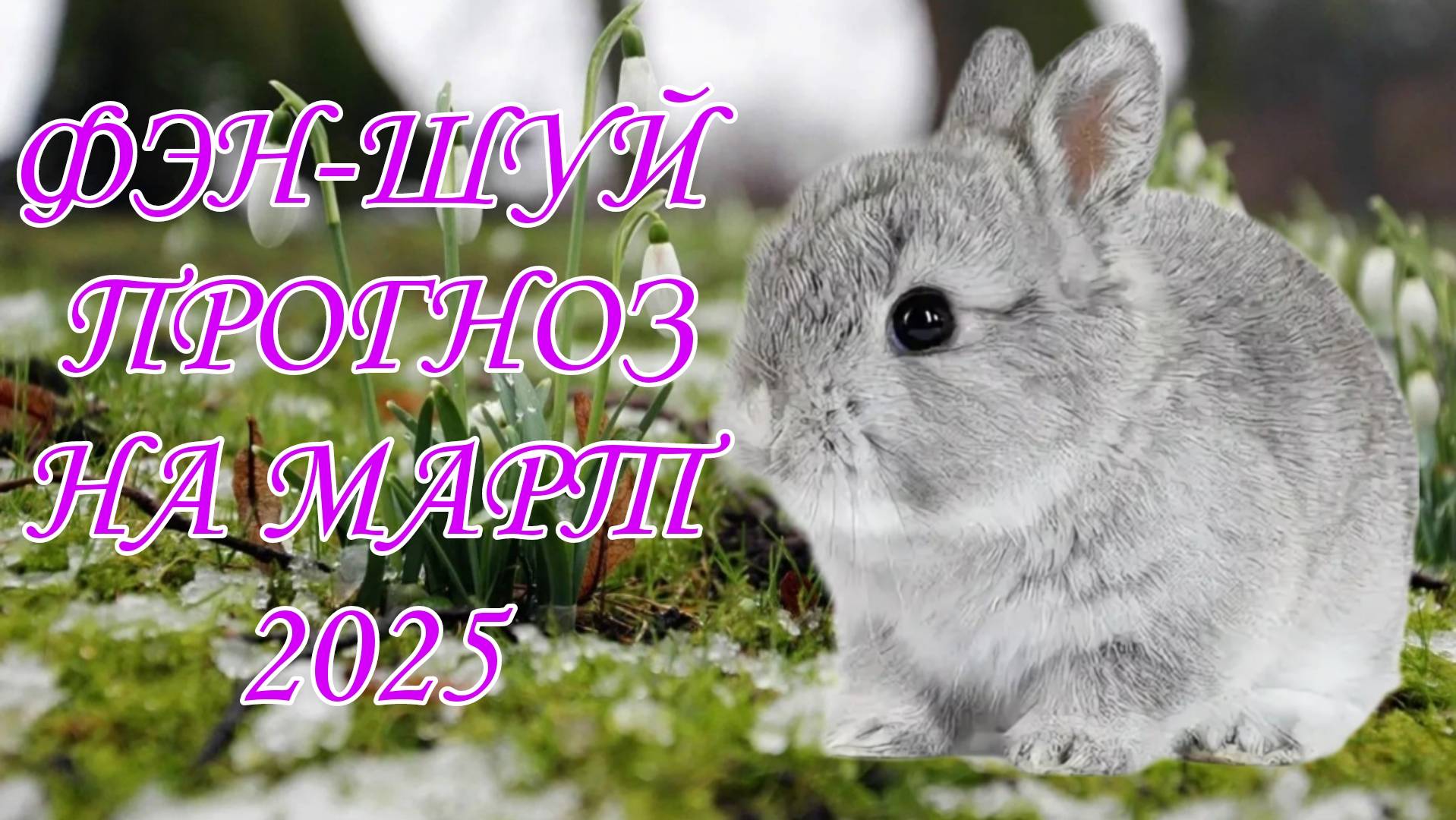 ФЭН-ШУЙ ПРОГНОЗ НА МАРТ 2025 🐇МЕСЯЦ ЗЕМЛЯНОГО КРОЛИКА#3