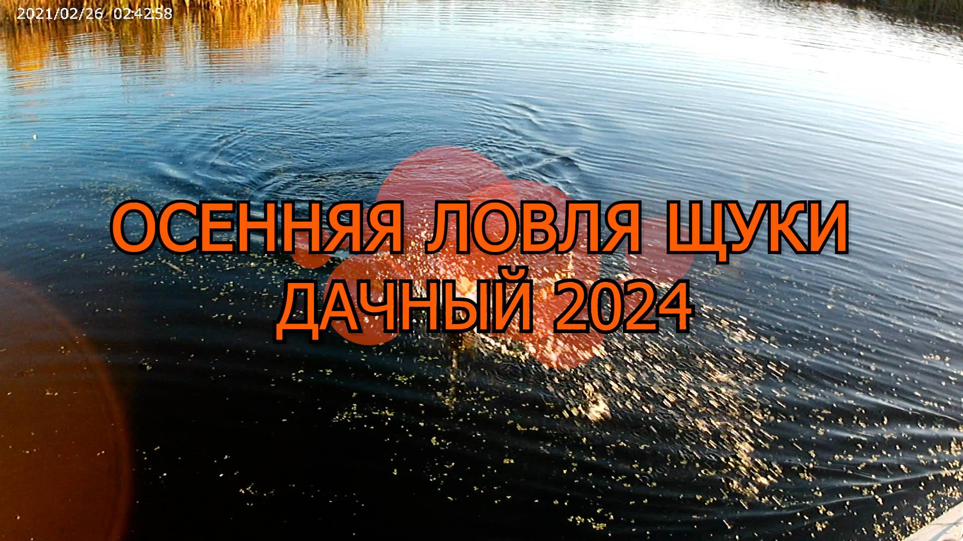 Осенняя ловля щуки травянки на реке Свияга дачный 2024 г
