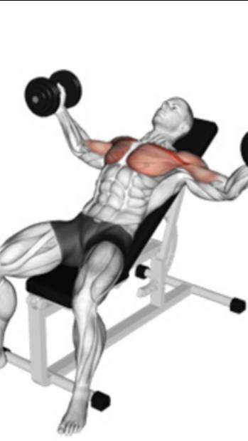 Сведение гантелей на скамье 45