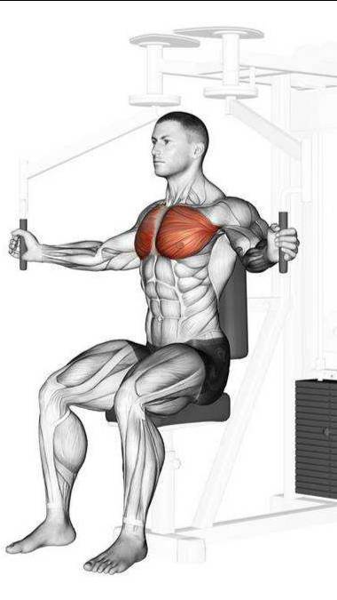 Бабочка / Пек дек