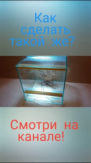 Как сделать крутой Террариум своими руками.