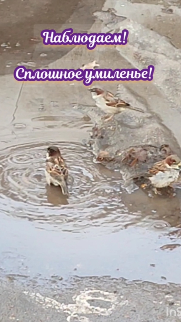 Релаксация:  предчувствие весны