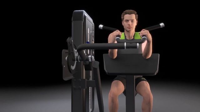 DHZ Fitness - EVOST II Dual Function - A3087 Biceps_Triceps