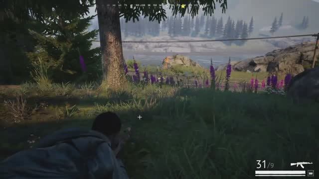 Vigor Улучшил Убежище