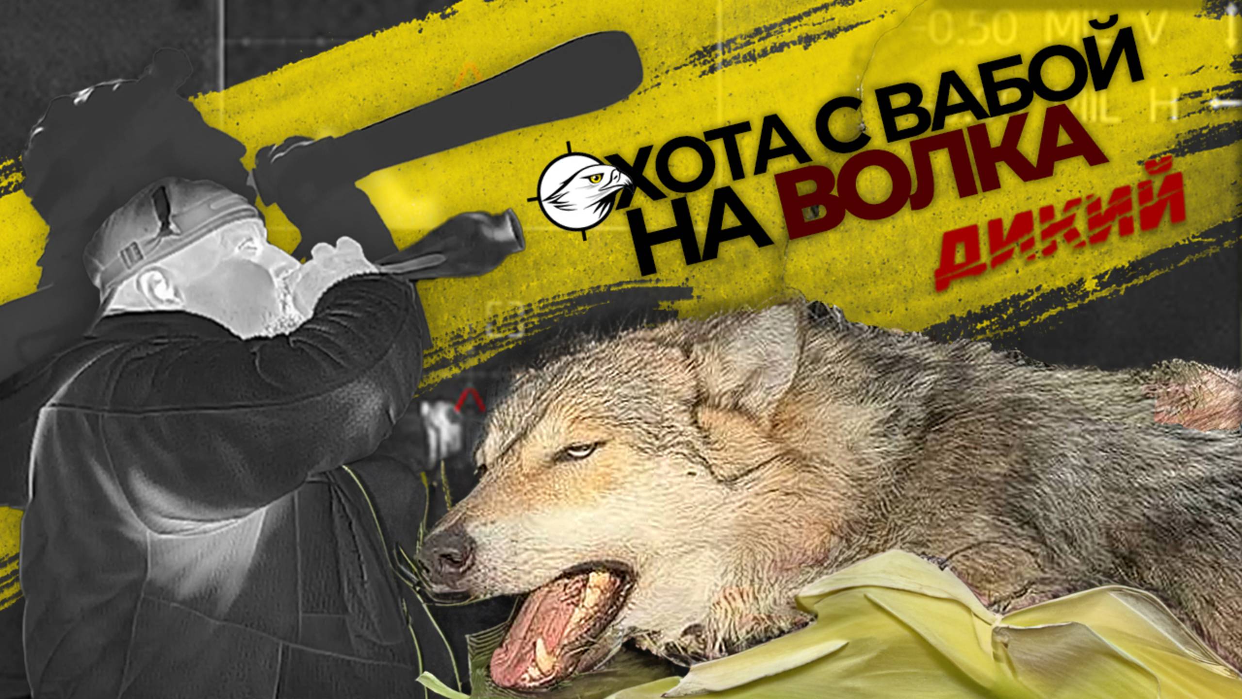 ОХОТА на ВОЛКА на ВАБУ в Беларуси. ЛУЧШИЕ КАДРЫ из фильма для телеканала ДИКИЙ. СпектрОптик.