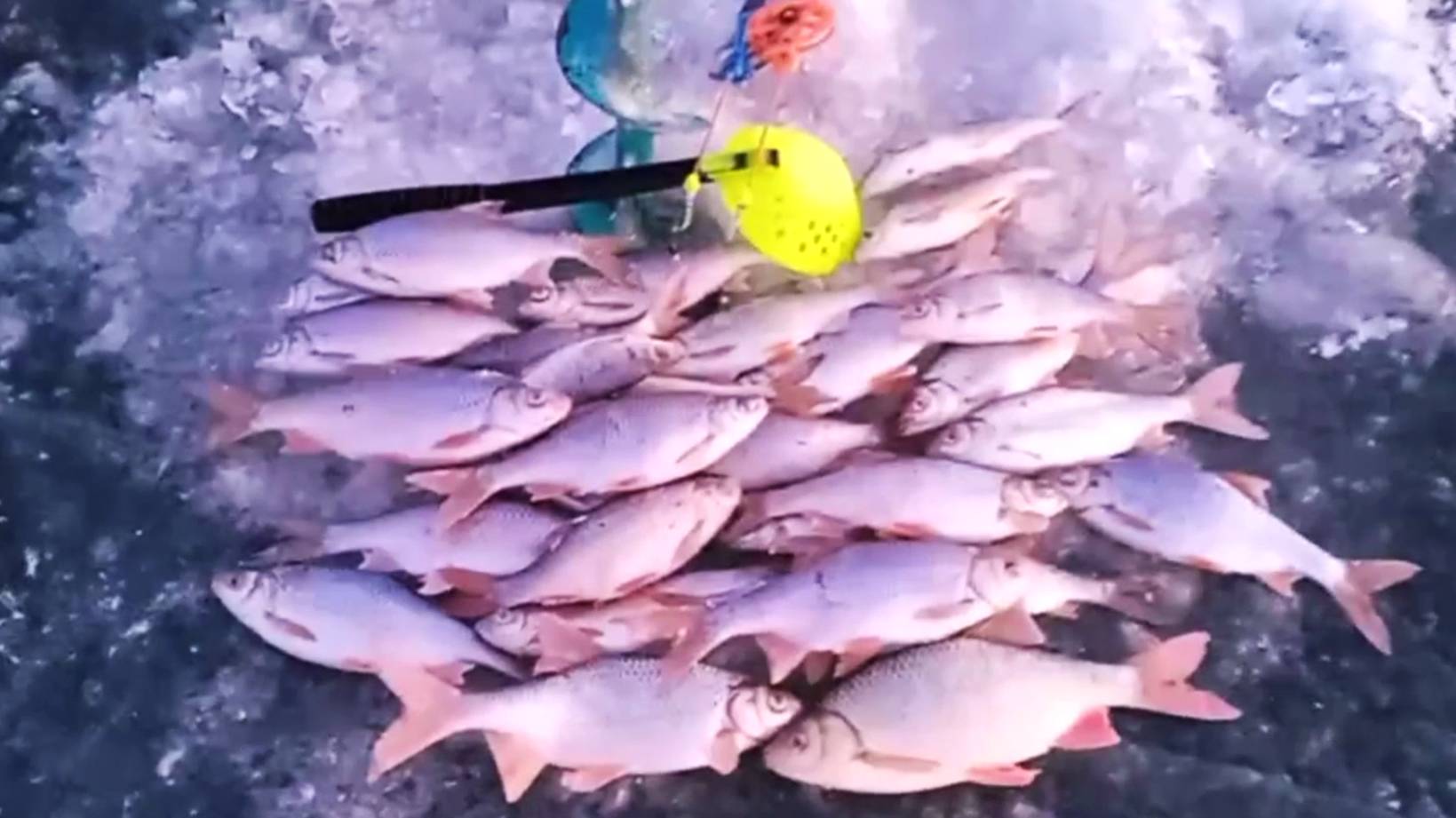 Безмотылка и бомбический вечерний клев сделали эту рыбалку.