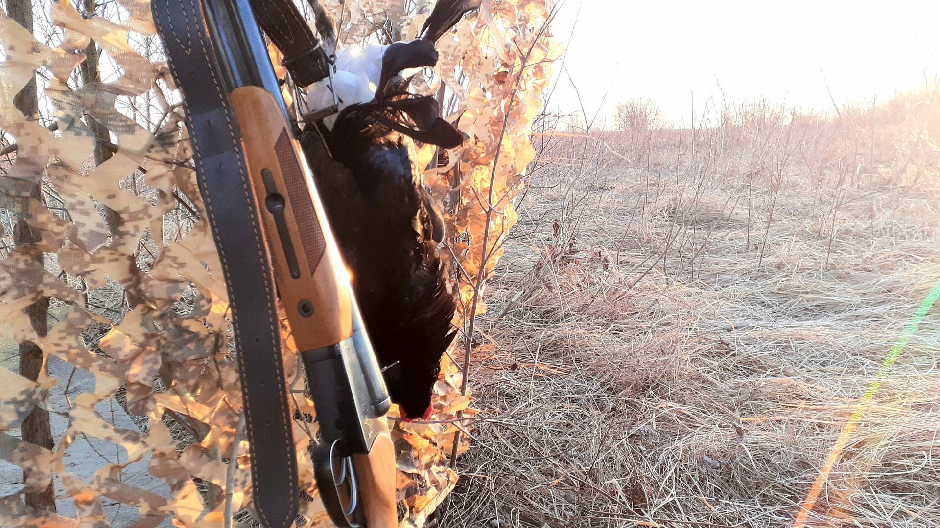 Весенней Охоте посвящается .....