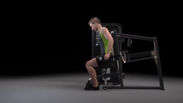 DHZ Fitness Evost II - A3026 Setaed DIp