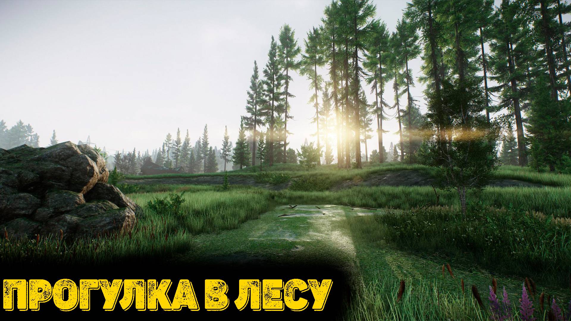 Escape from Tarkov PVE  - Прогулка в лесу