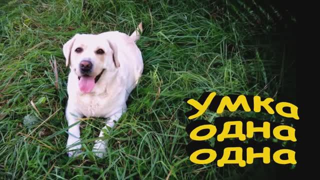 УМКА одна-одна почти одна. Передержка