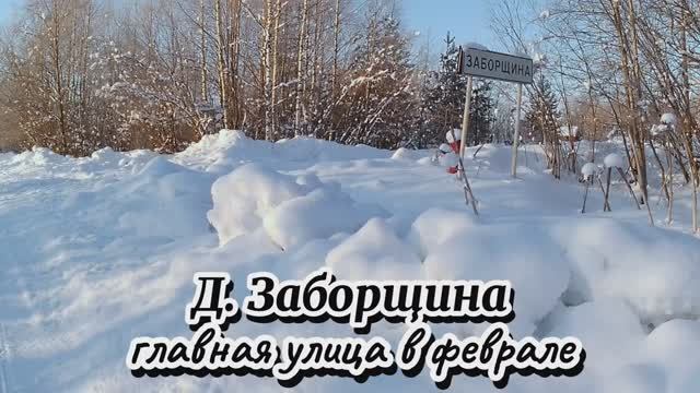 Деревня Заборщина, главная улица в феврале.mp4